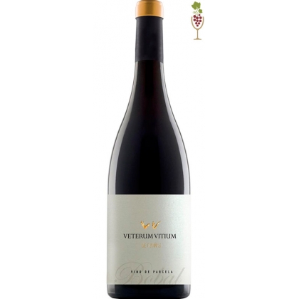 Vino Tinto Veterum Vitium, ante todo elegante.